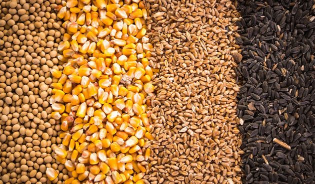 Commodities and Grains Industries Products | Nandan GSE